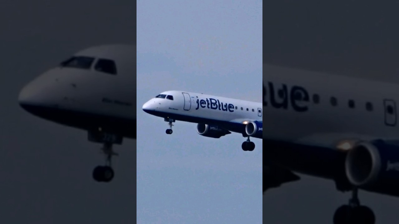 JetBlue Airways flight JBU481 struck bird(s) on initial climb from DCA ...