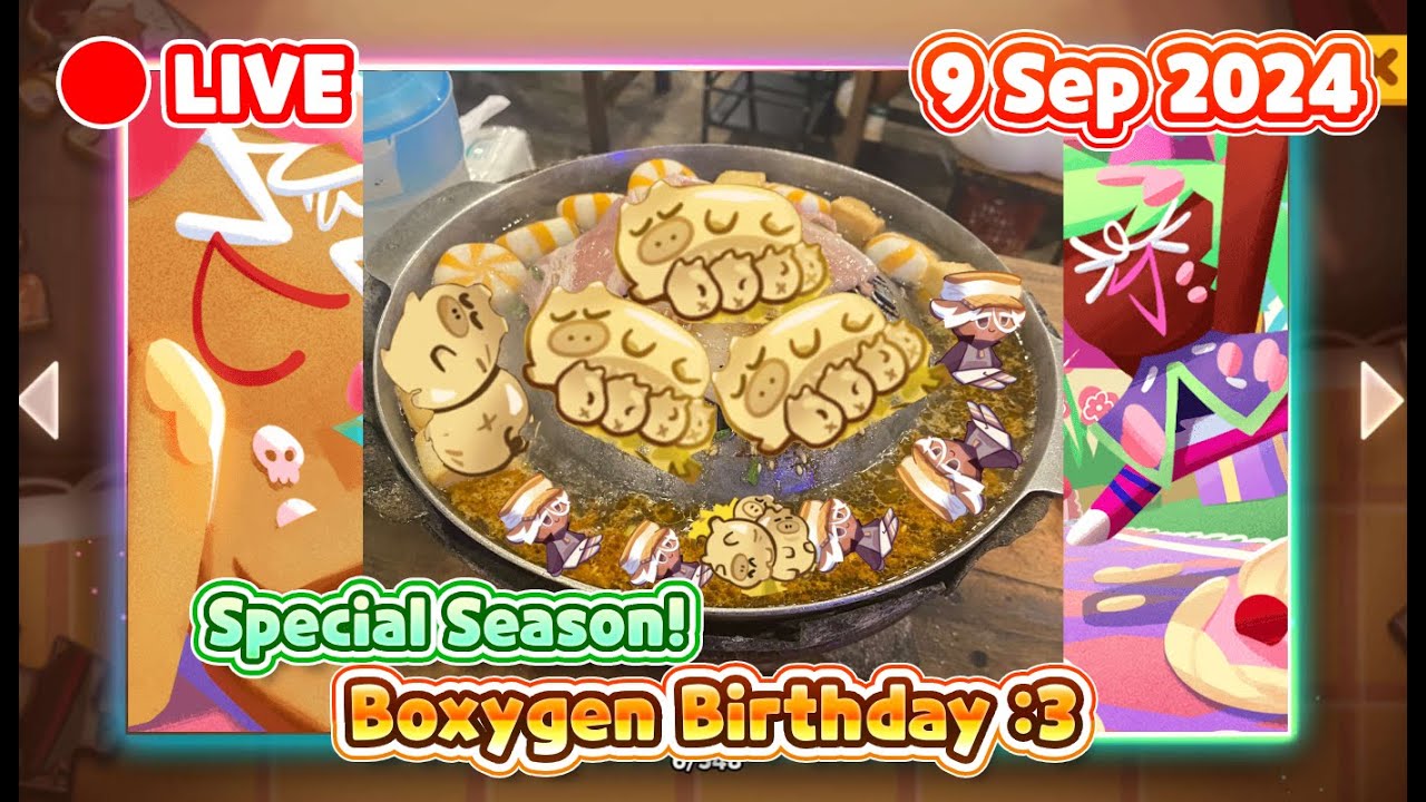 [🔴Live] Special Season! - Boxygen Birthdayy🎉🎉🎉 - YouTube