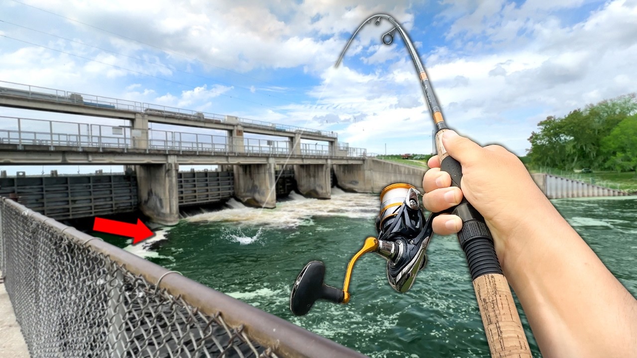 Fishing a BIG SPILLWAY with TINY Live Bait.. - YouTube