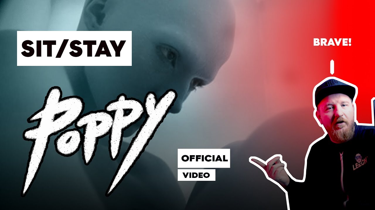 Poppy - Sit / stay reaction - Very brave. - YouTube