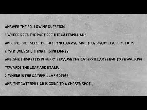 Lesson 11 THE CATERPILLAR[ question & answer] - YouTube