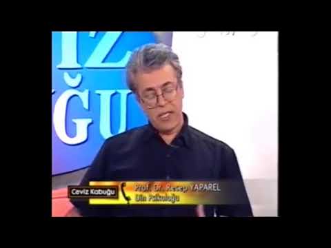 Edip Yüksel'in 19'cu Oluşunun Hikayesi / Ceviz Kabuğu 2002