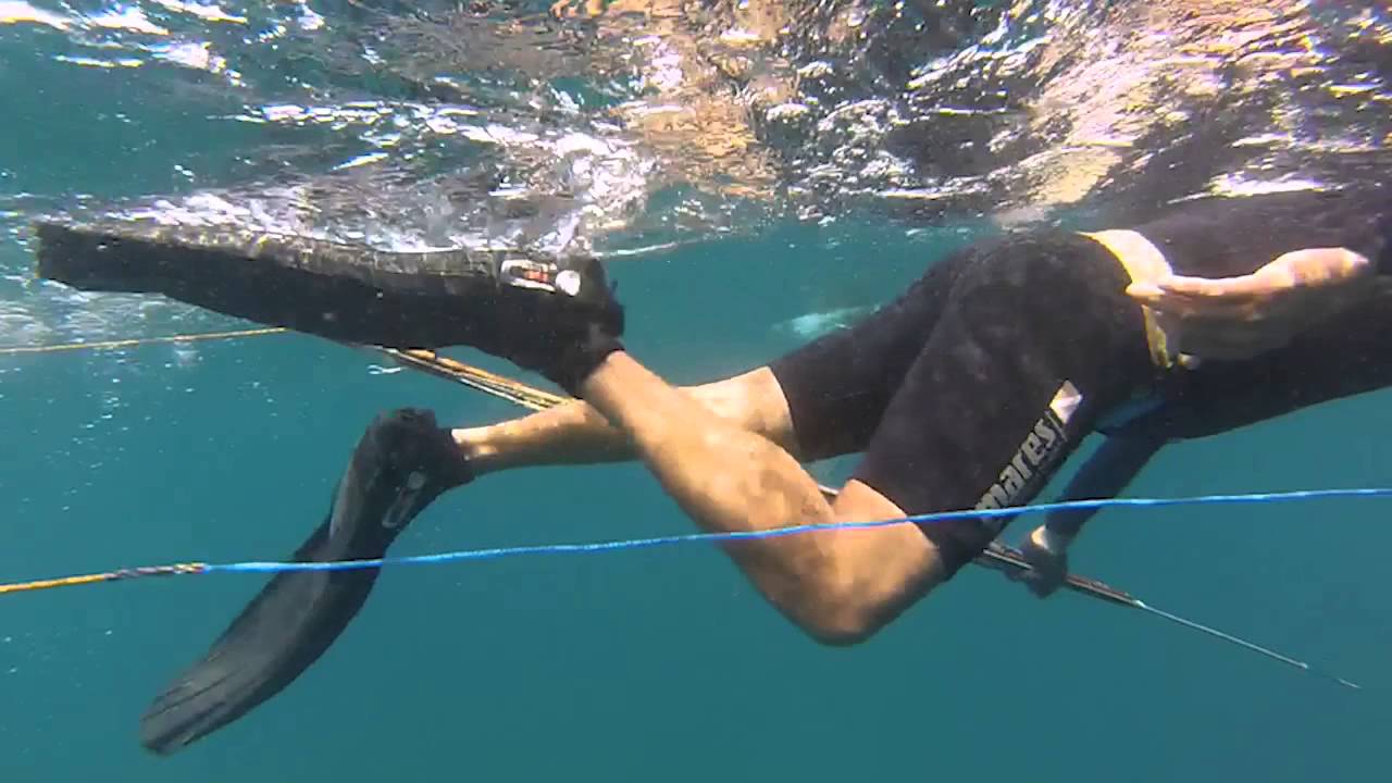 Подводная охота на Филиппинах (Spearfishing Philippines) - YouTube