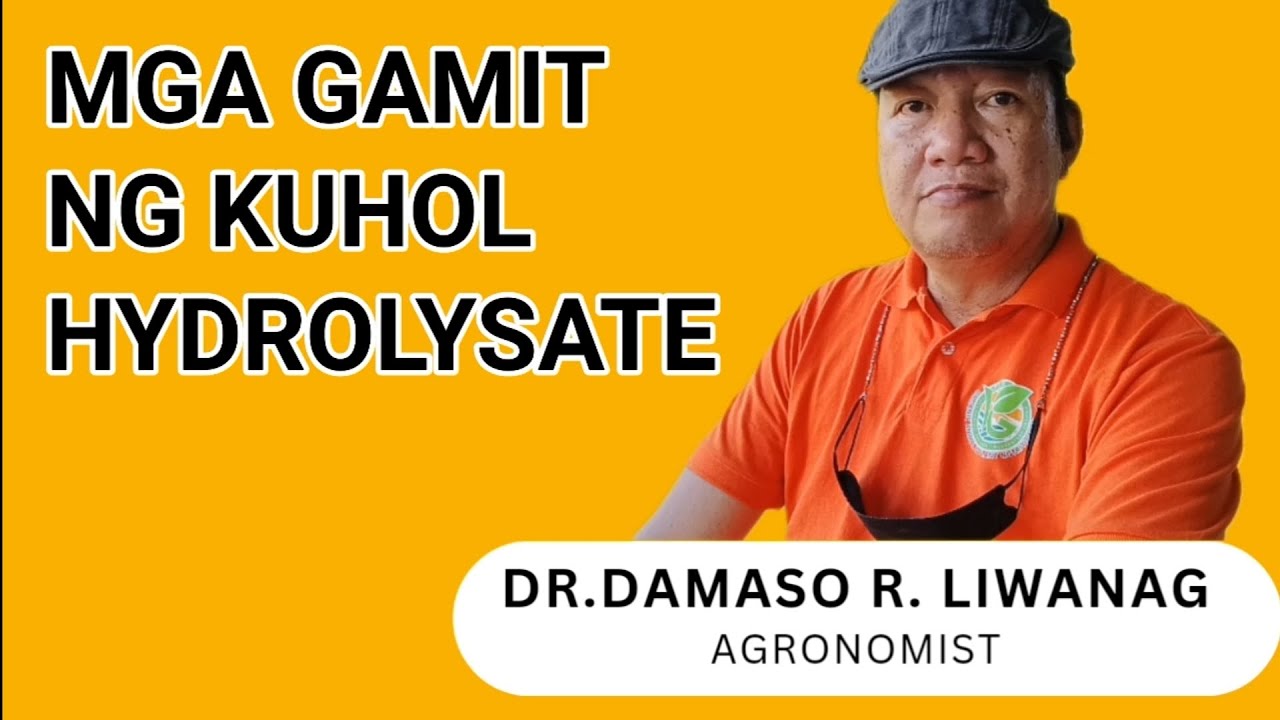 MGA GAMIT NG KUHOL HYDROLYSATE - YouTube