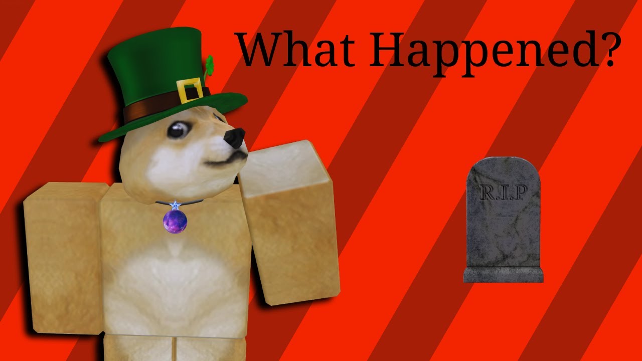 What happened to Sushi Doge? - YouTube