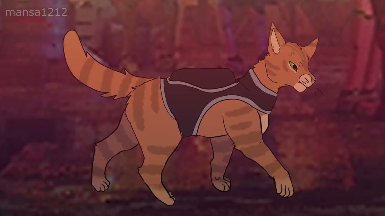 Stray | Animation Practice - YouTube