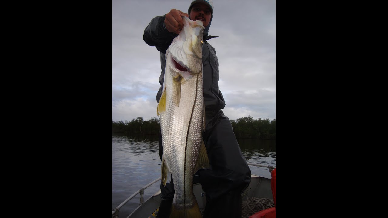 Robalo Flecha Bertioga Flex Neles !!!! - YouTube