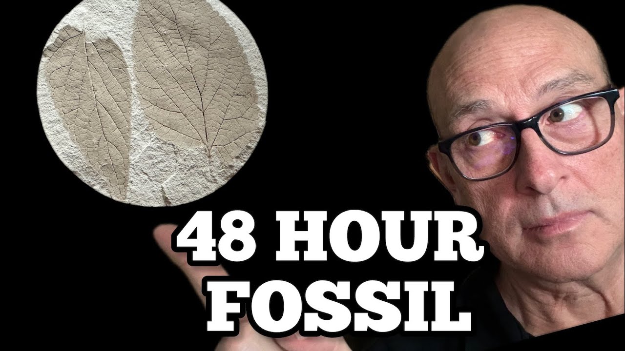 Is it POSSIBLE to Create a Fossil in 48 HOURS!?? - YouTube
