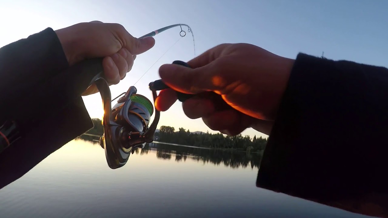 First Large mouth off the top | Froggy Style | Deer Lake BC | On the ...