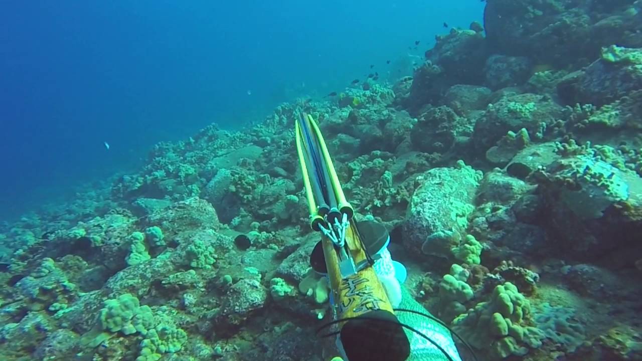 Hawaii Spearfishing: "Reef Action" Episode 2 - YouTube