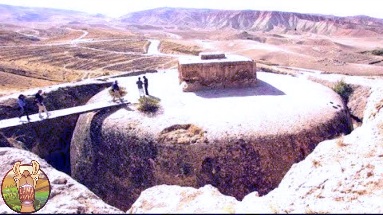 LES SCIENTIFIQUES N’EN CRURENT PAS LEURS YEUX LORSQU’ILS DÉCOUVRIRENT ...