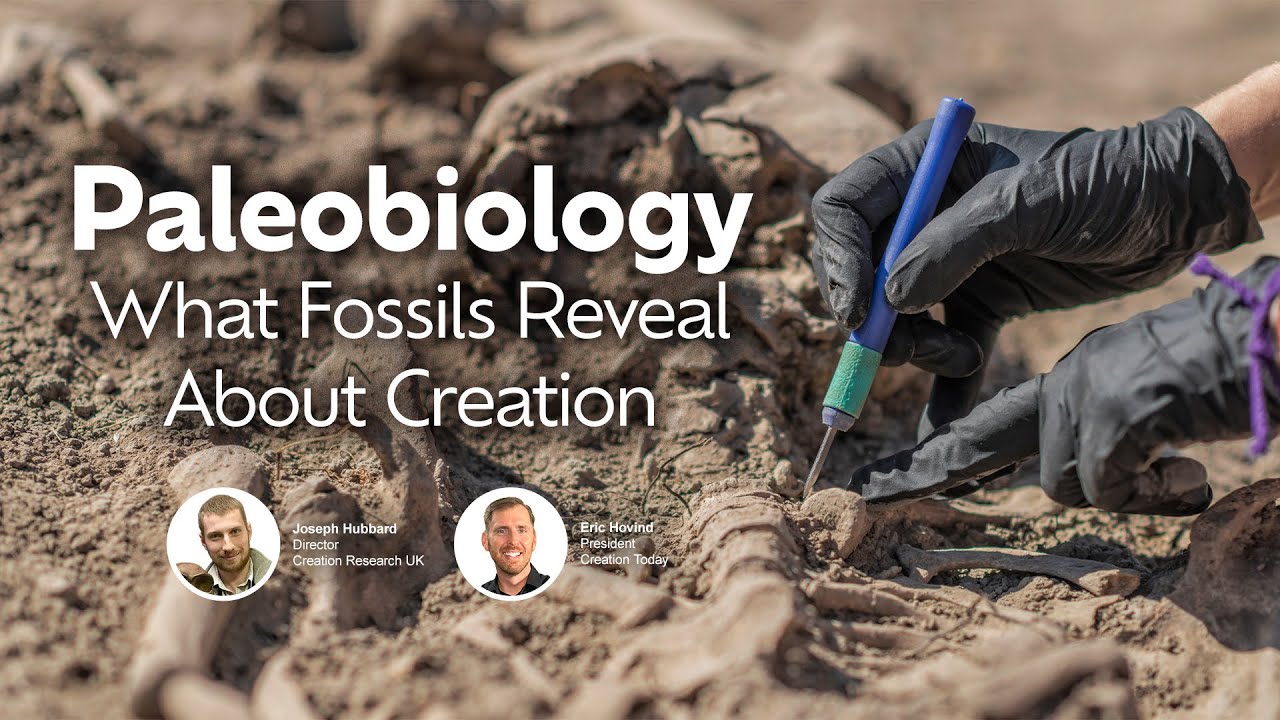 Paleobiology: Do Fossils Reveal Creation? | Eric Hovind & Joseph ...