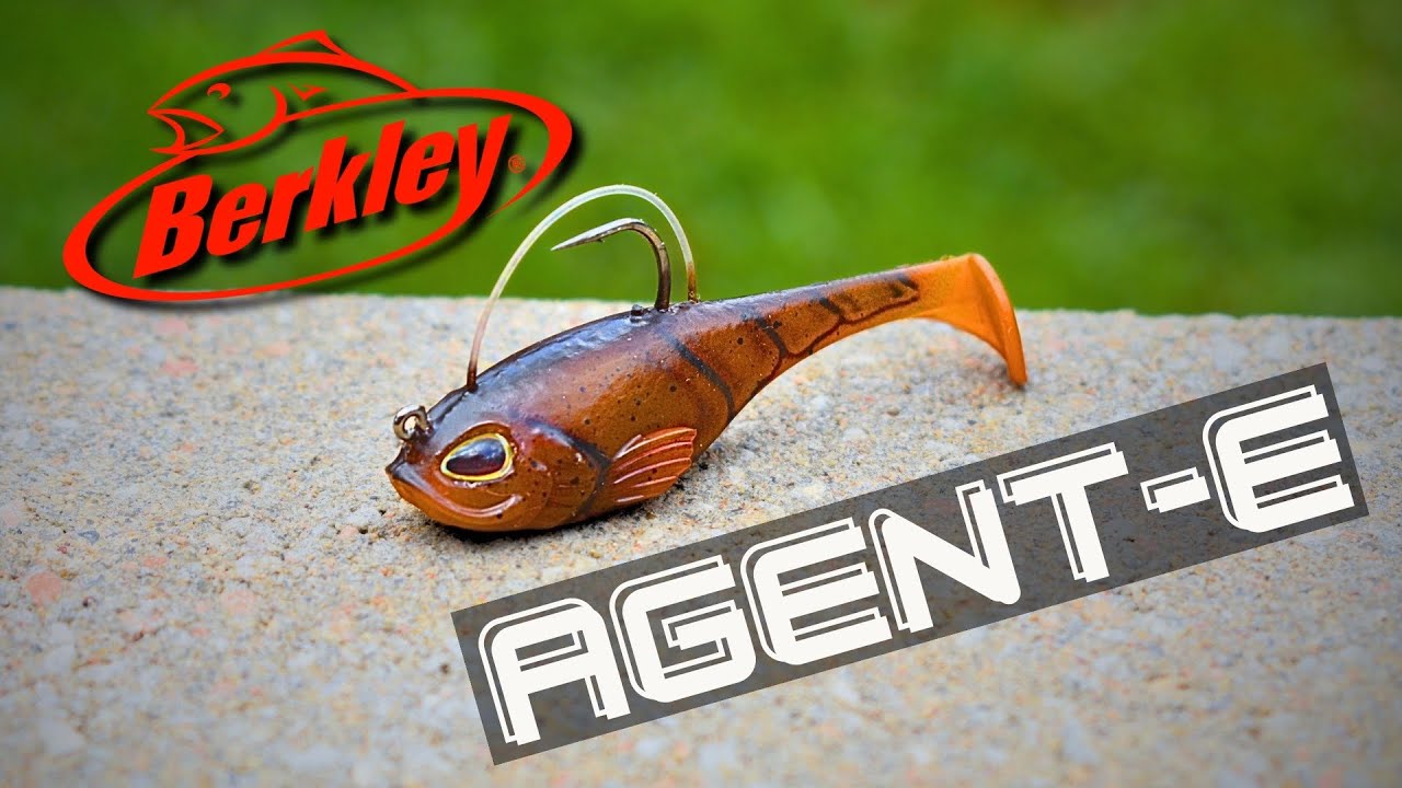 How Good is This Goby Style Bait for Catching Fish? - YouTube