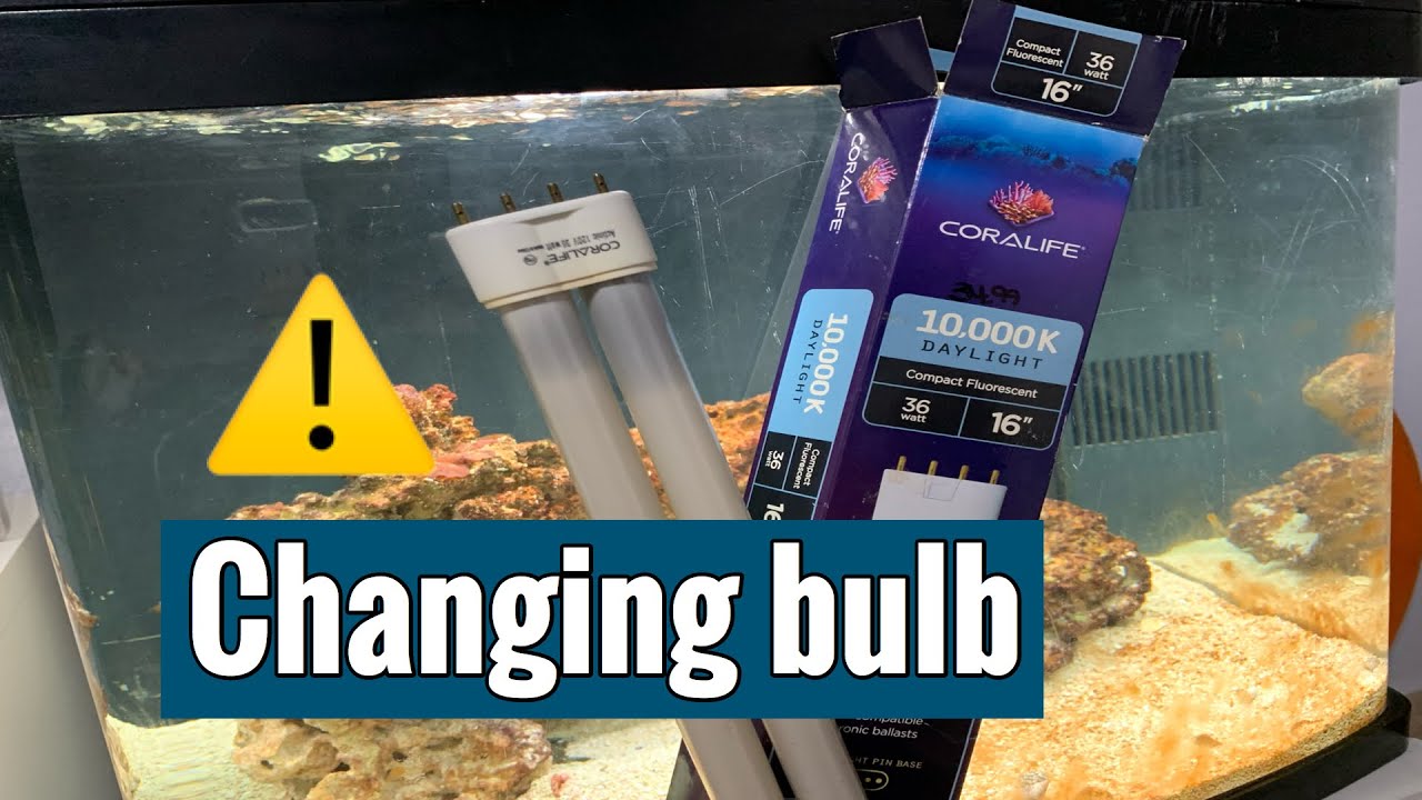 Changing my 29 gallon BioCube light bulb - YouTube