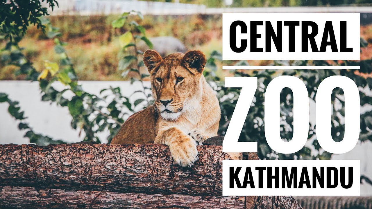 Central ZOO , Kathmandu , Nepal 🇳🇵 - YouTube