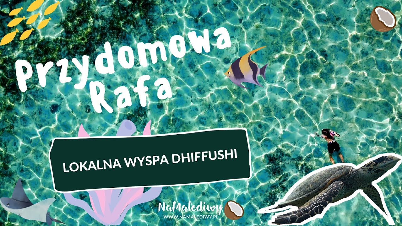 Lipiec 2020 Malediwy I PRZYDOMOWA RAFA I Wyspa Dhiffushi #3 - YouTube