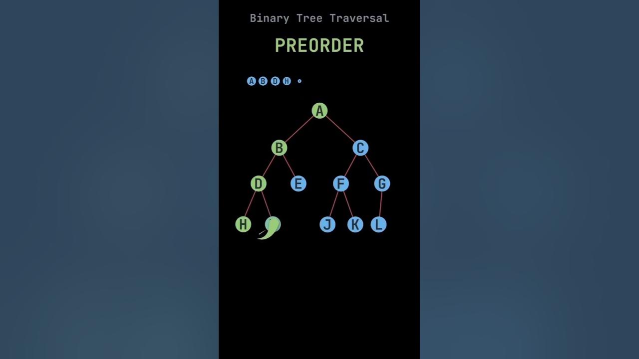 What is preorder traverse?Visualization #dsa #coding #concept #programming #education #short ...