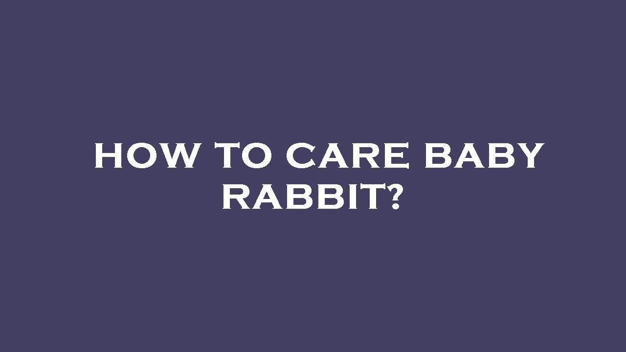 How to care baby rabbit? - YouTube