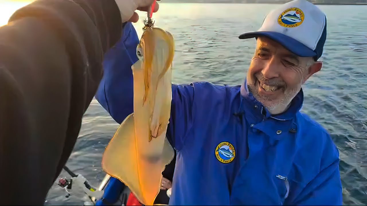 Pescamos calamares a currican 🔴EN DIRECTO ¡A por ellos! 😆🎣🦑🦑🦑 - YouTube