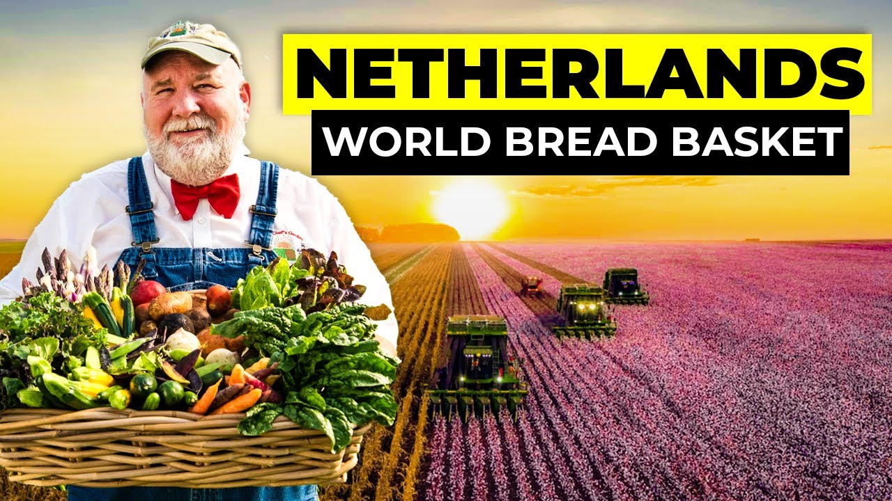 Why Netherland Leads the World in Agriculture? | In Five Minute - YouTube