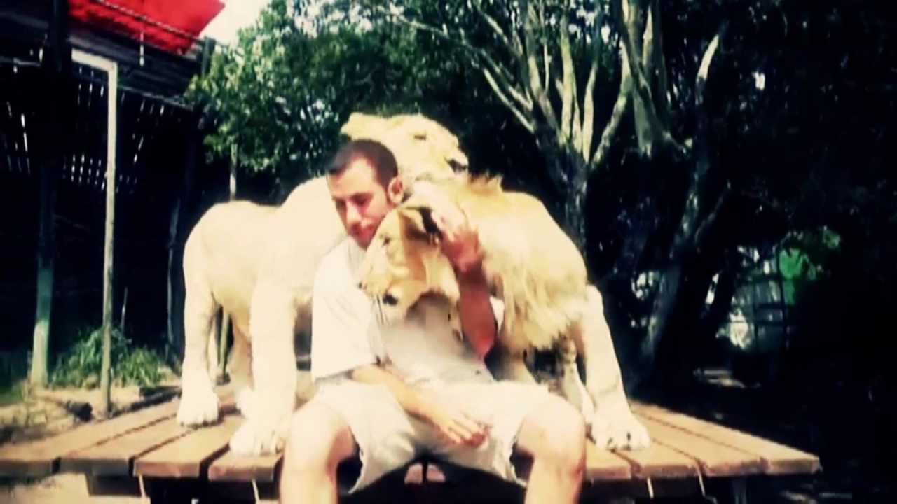 pogomix || go out and love someone - YouTube