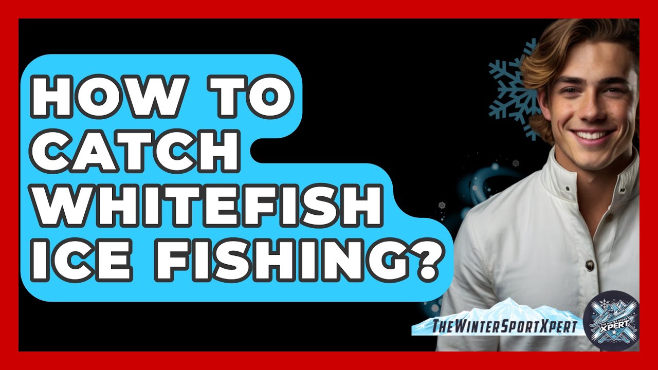 How To Catch Whitefish Ice Fishing? - The Winter Sport Xpert - YouTube