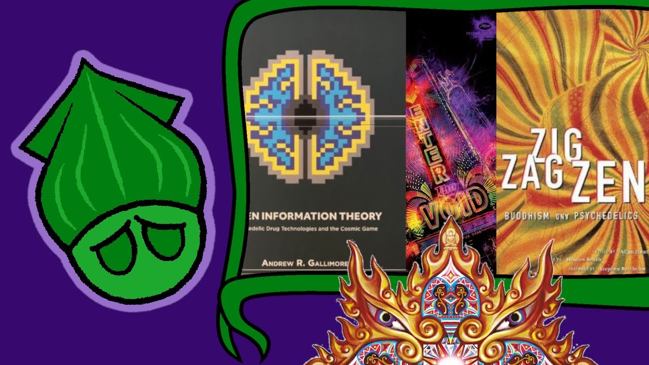 Enter the Void VS Zig Zag Zen VS Alien Information Theory - YouTube