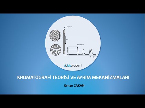 2- HPLC KROMATOGRAFİ KULLANIM EĞİTİMİ/KROMATOGRAFİ TEORİSİ(THEORY OF CHROMATOGRAPHY )