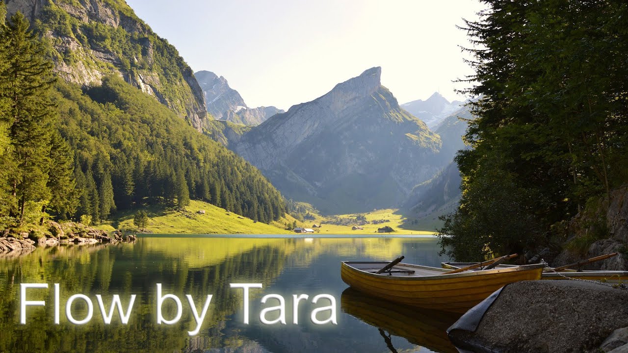 Flow by TARA - YouTube