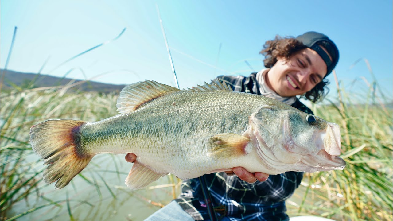 Pescando las Lobinas Más GORDAS del Mundo en México! - YouTube
