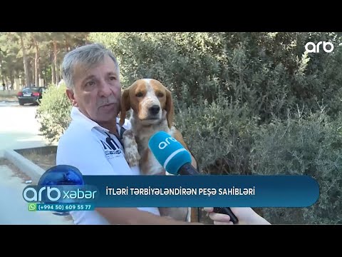 İtləri “insana” çevirən adam