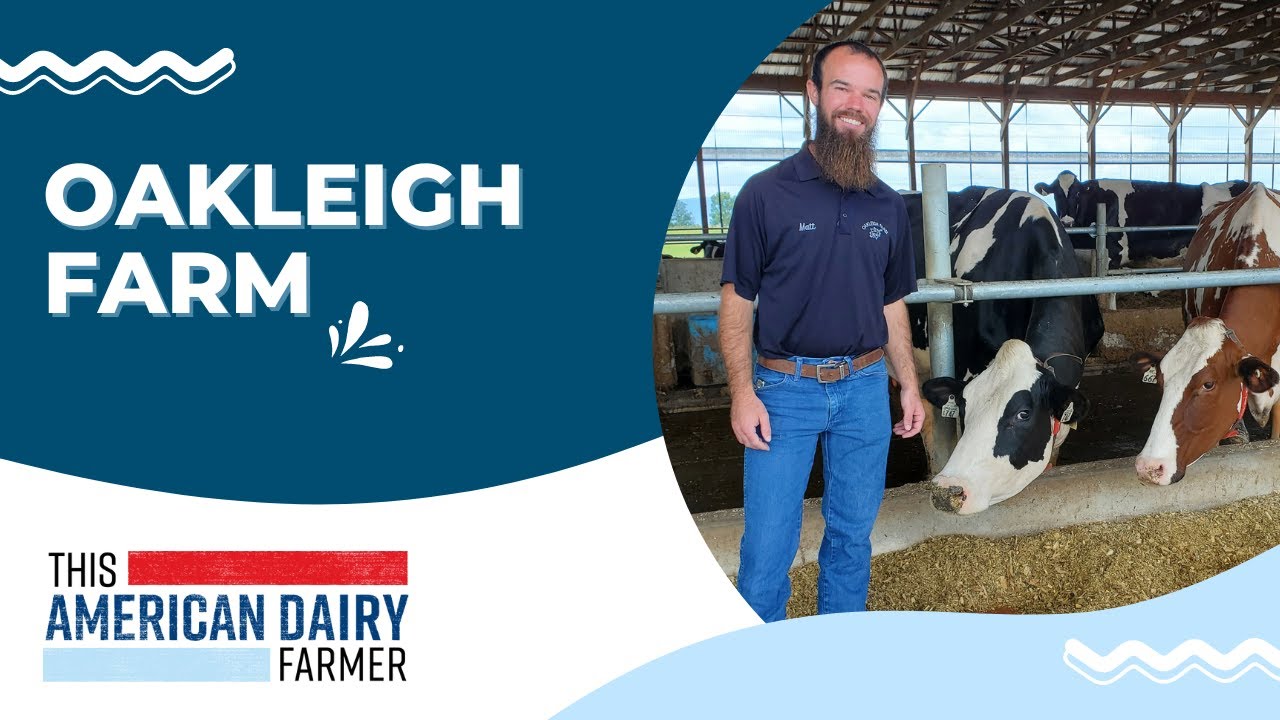 Full-Time Farmer, Part-Time Pilot: This American Dairy Farmer - YouTube