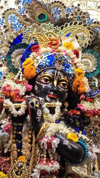 जय श्री राधे#radheradhe #bhajan #video - YouTube