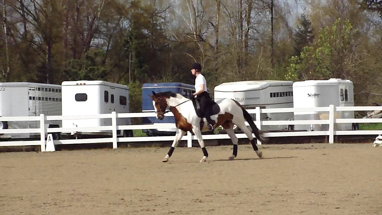 Jane counter canter - YouTube