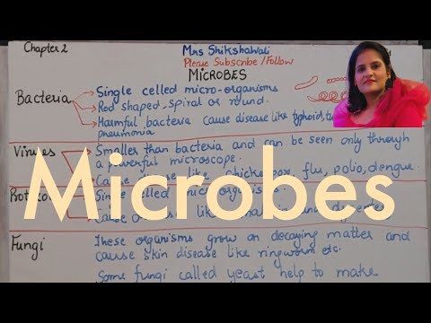 Microbes |chapter2 class4 science Teeth and microbes|Types of microbes|diseases caused by ...