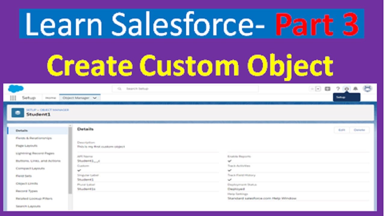 Create Custom Object Salesforce Admin Training For Beginners Part 3 Youtube
