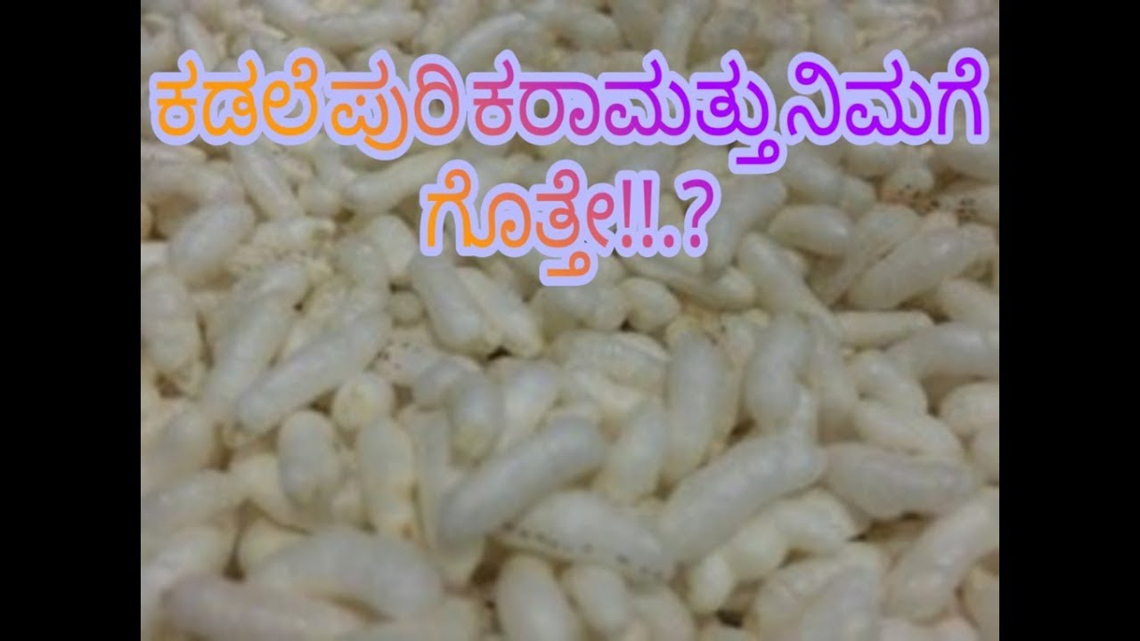 Benifits of puffed rice 9 (kadale puri ) |udayanewskarnataka | - YouTube