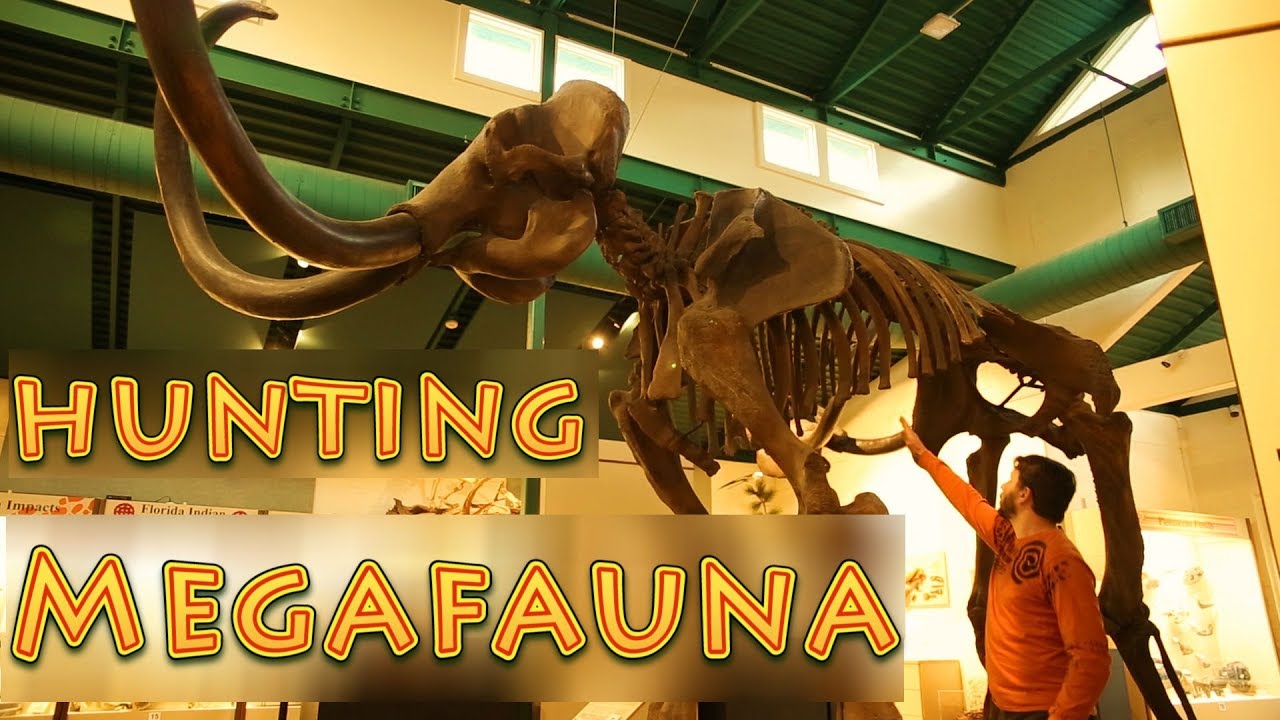 How Prehistoric People Hunted MegaFAUNA - YouTube