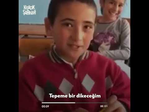 Eşeğin Aynı Saman Yediği Gibi Ekmek Yiyecaam
