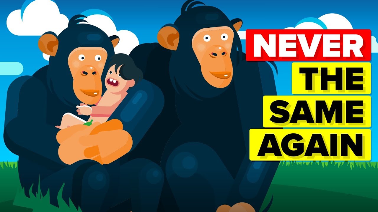 These Were The Most Important Events In The History of the Earth - YouTube