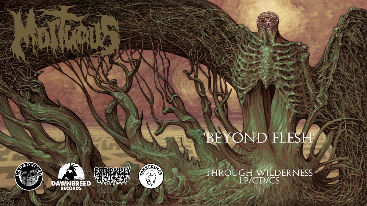 Mortuous - "Through Wilderness" (Full Album) - YouTube