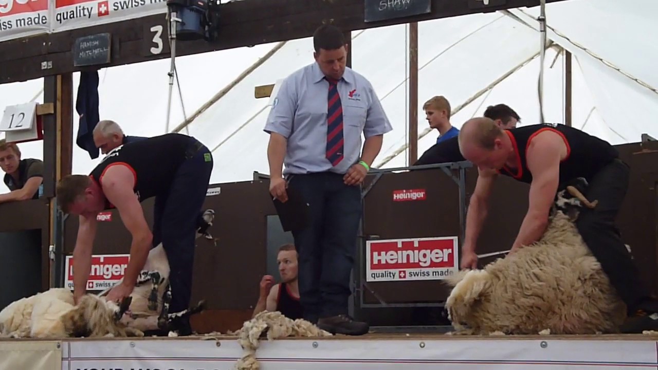 Lochearnhead Shears Open Final 2017 - Watch in HD setting - YouTube