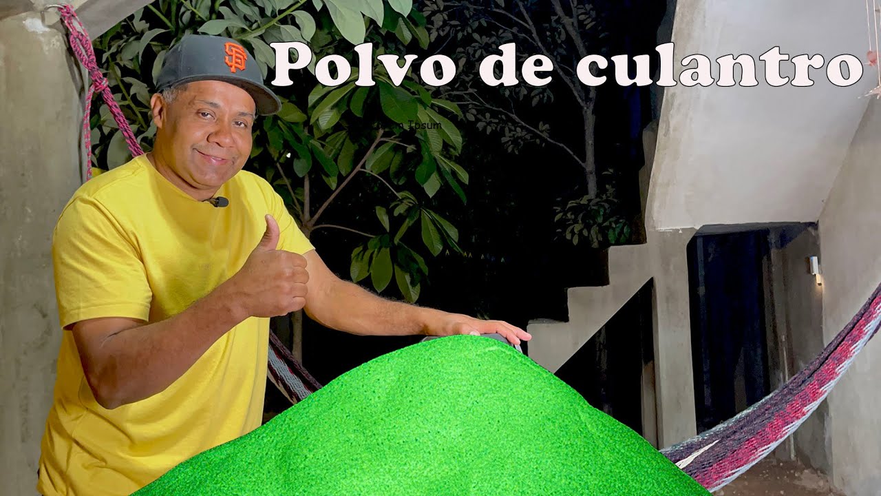 Como hacer polvo de culantro organico. - YouTube