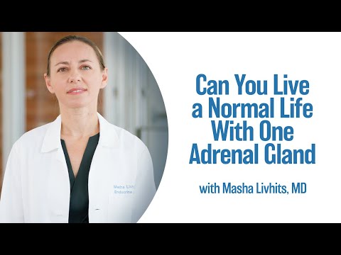 Can You Live a Normal Life With One Adrenal Gland? | UCLA Endocrine Center