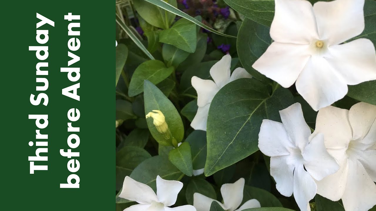 Eucharist for the Third Sunday before Advent - YouTube