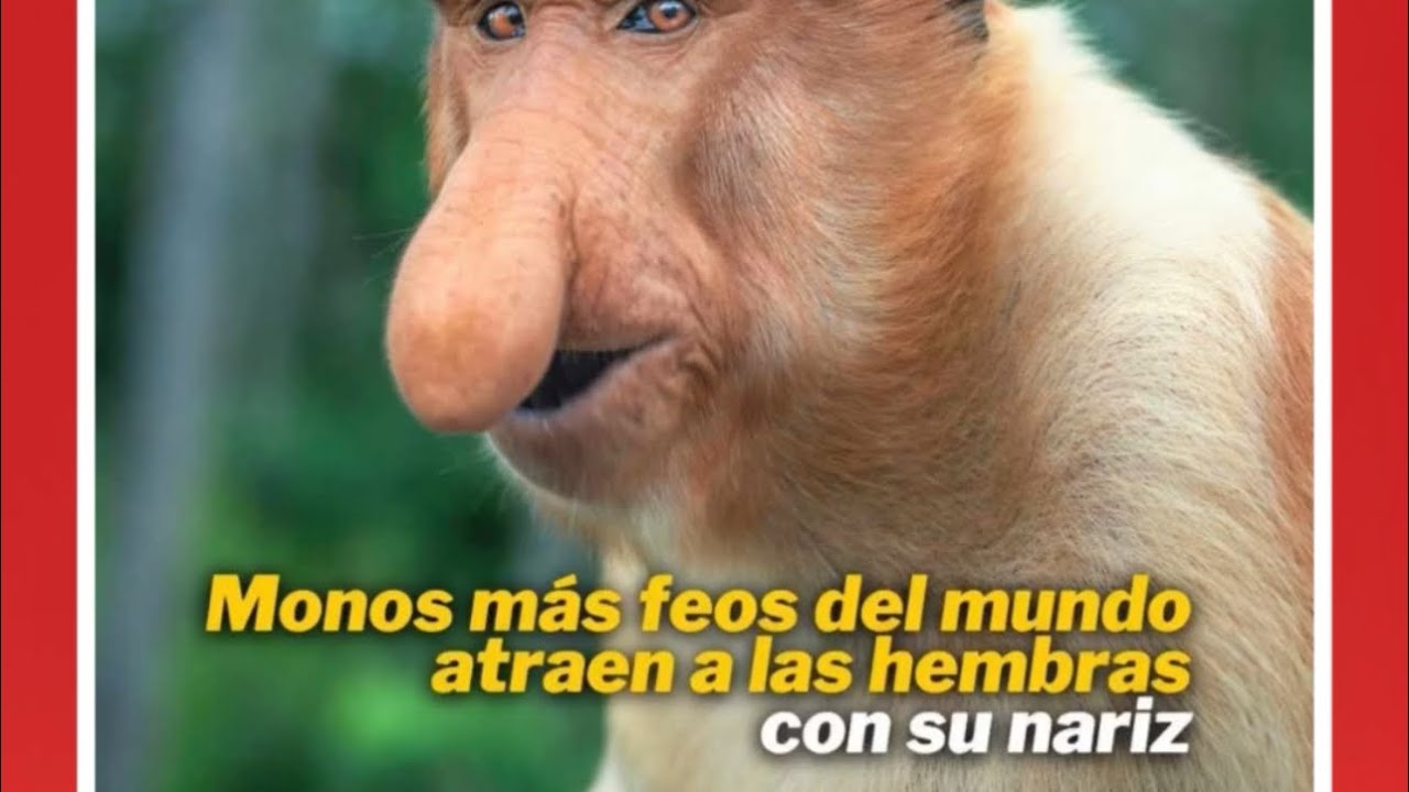Jhoan le dice “Narizón” al Patrón 😅 - YouTube