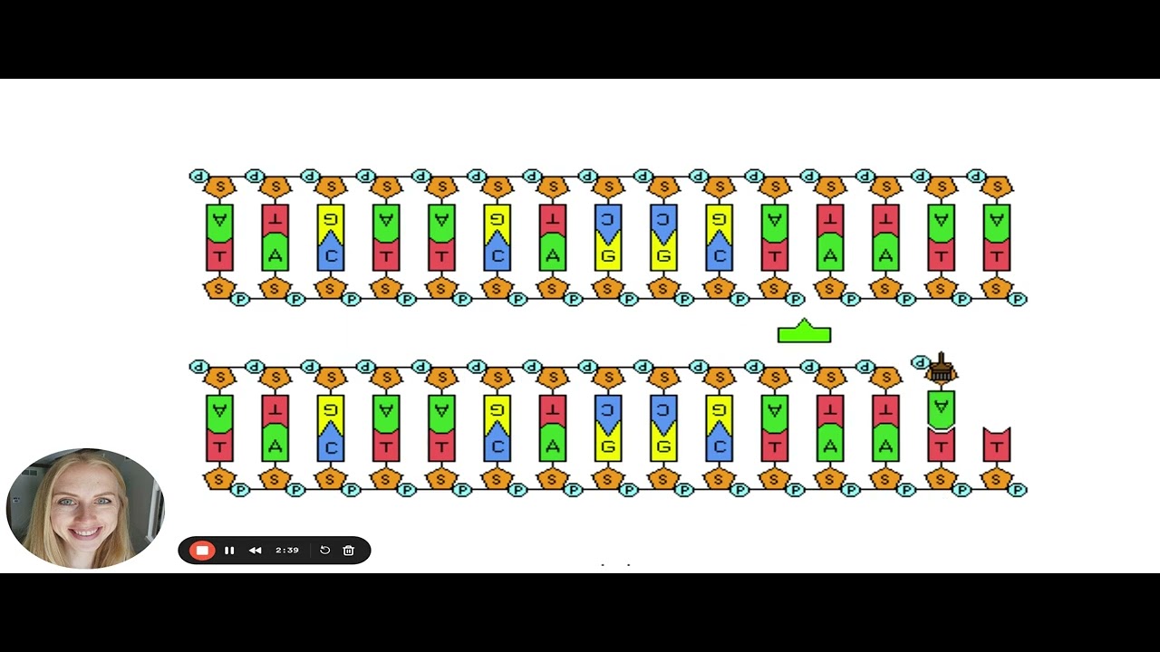DNA Replication Notes - YouTube