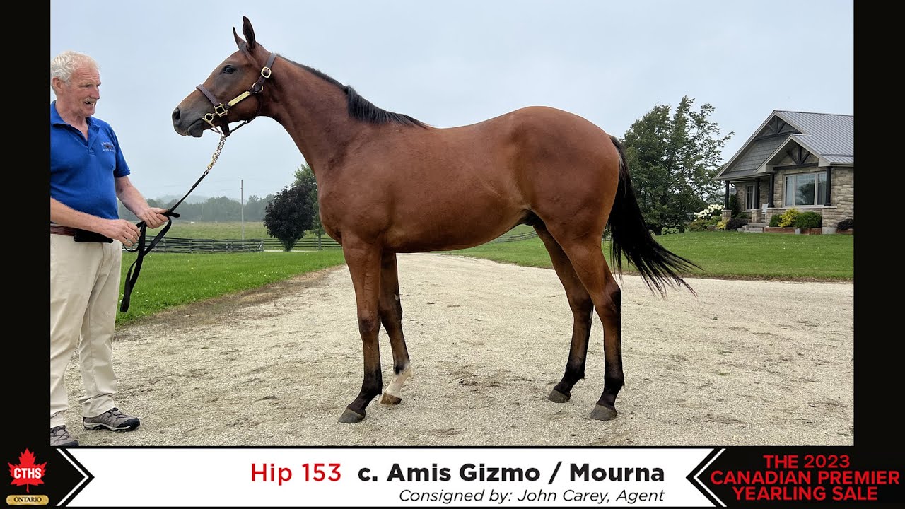 CTHS-ON 2023 - Hip 153 - c. Amis Gizmo x Mourna - YouTube
