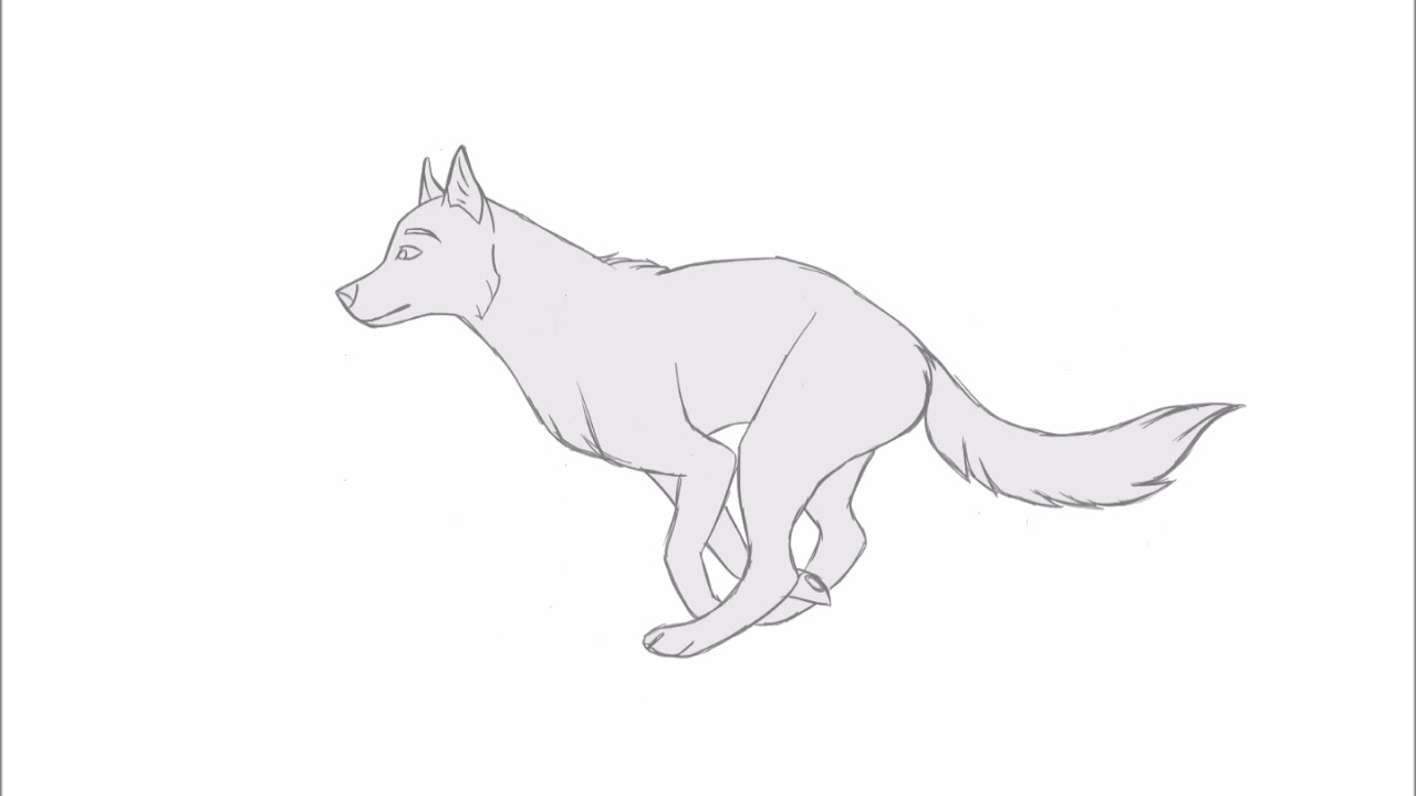 Wolf Run Cycle 2017 - YouTube