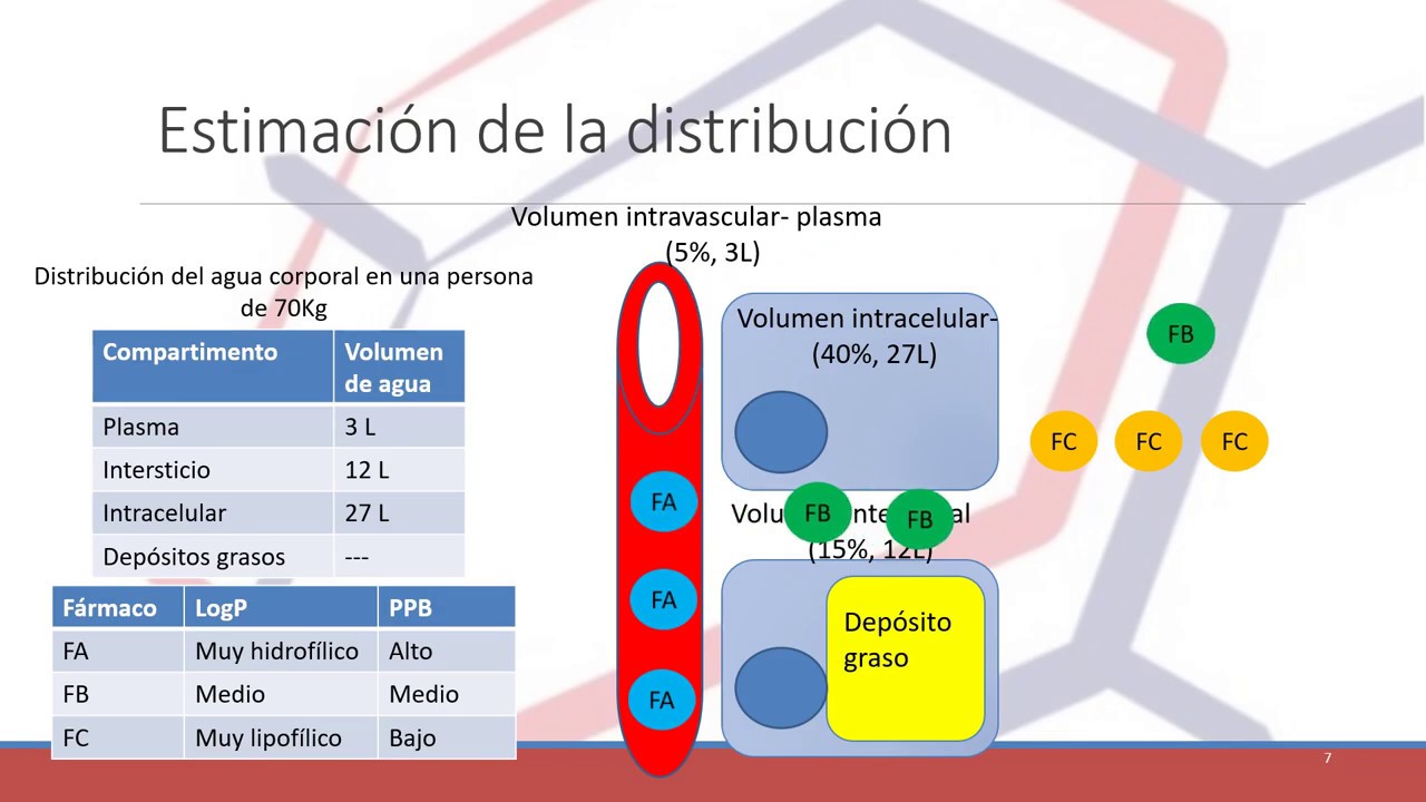 GENERALIDADES DE DISTRIBUCIÓN DE FÁRMACOS - YouTube